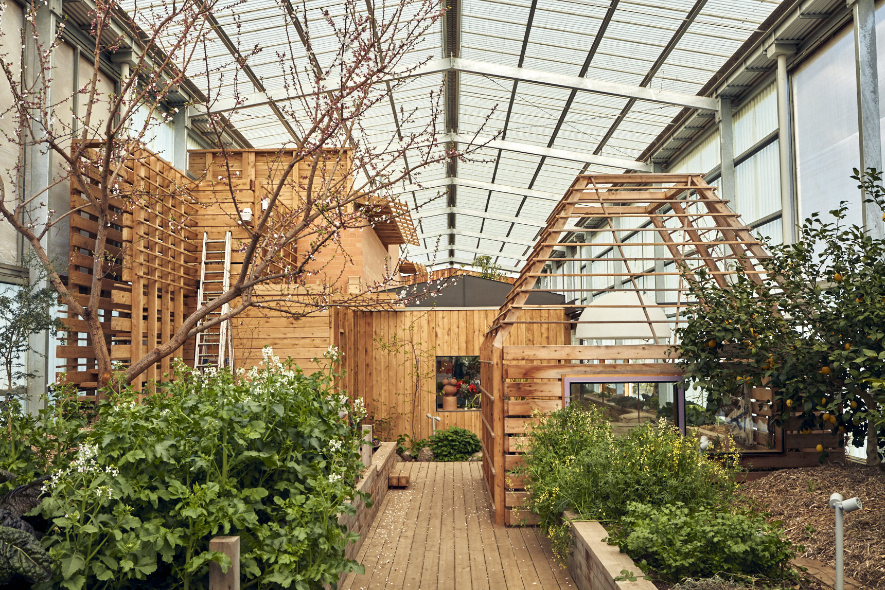 Home Visit: A Self-Sufficient, 110-Metre-Long Residential Greenhouse on ...