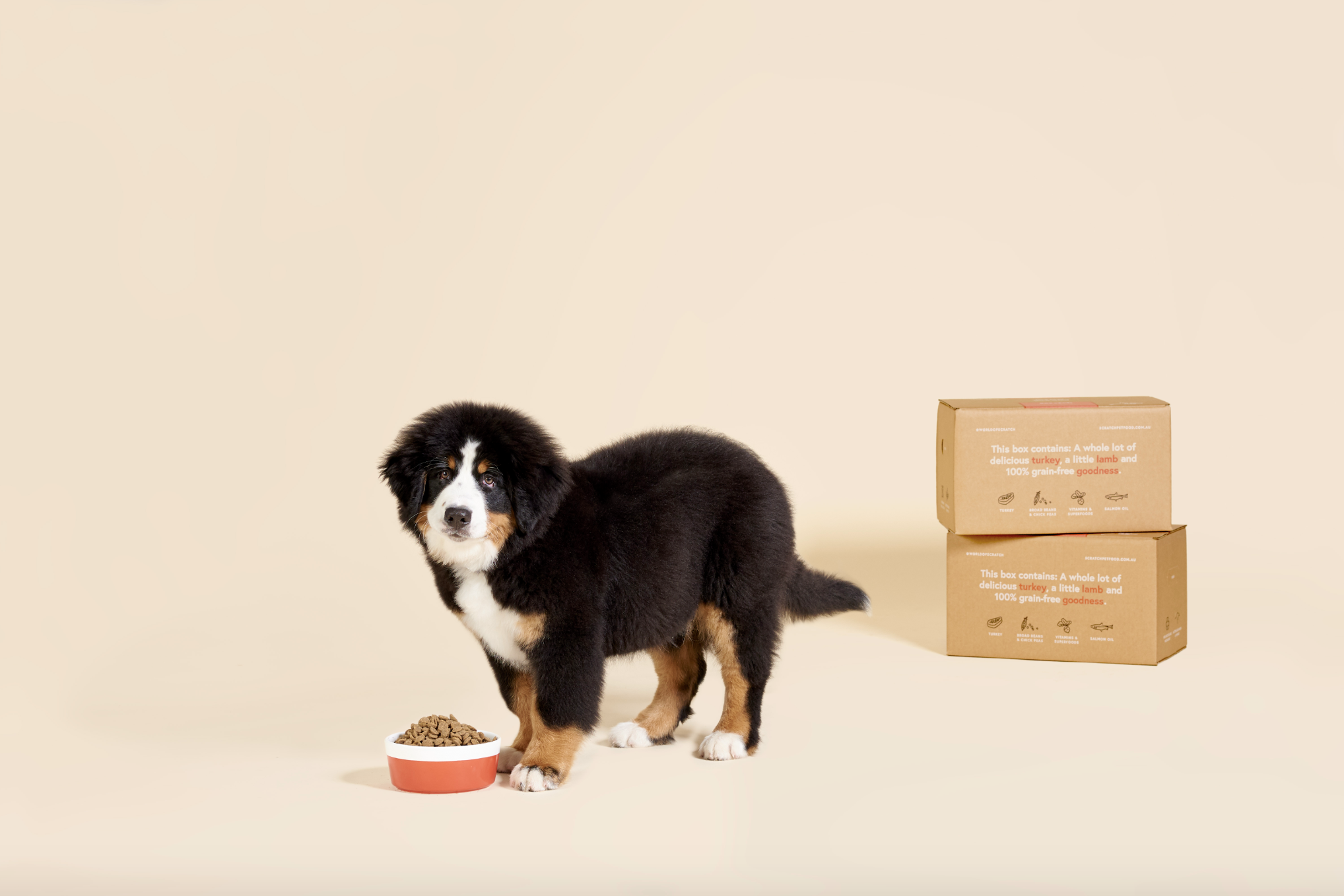 A Premium Aussie Pet-Food Brand That Delivers Straight to Your (Dog’s) Door