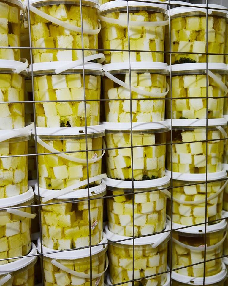 Harper and Blohm Is Offloading Two-Kilo Buckets of Meredith Goat’s ...