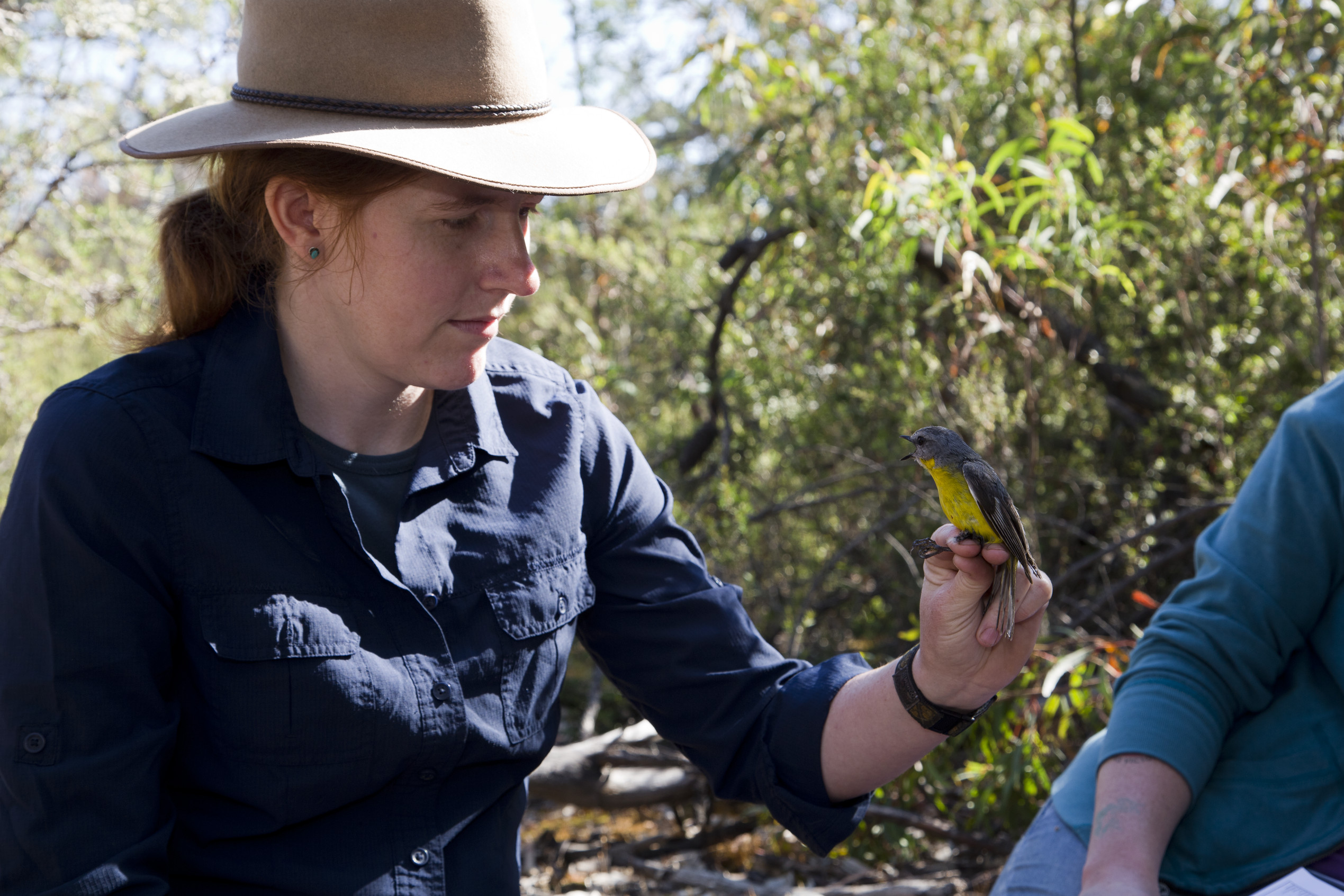 Meet the Experts: Biodiversity Researcher Doctor Karen Rowe