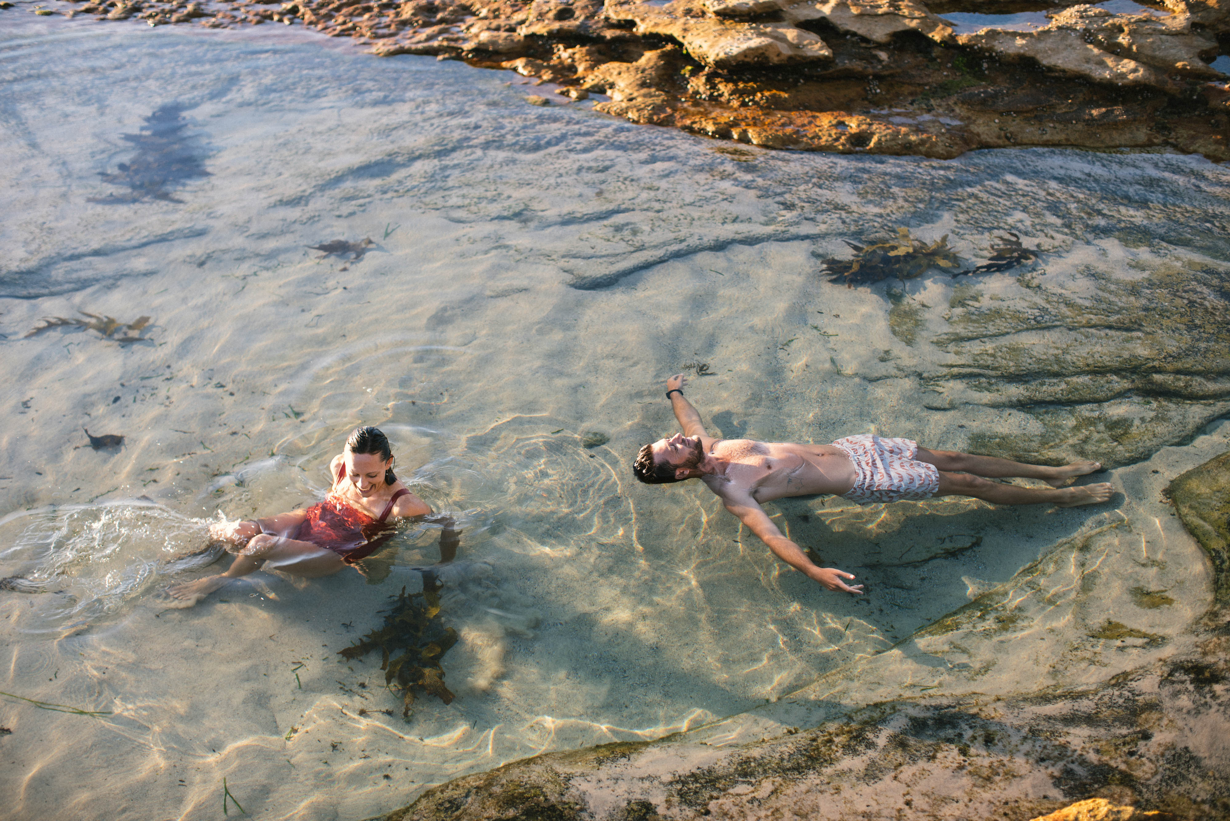 The New Book From the Places We Swim Team Dives Into Sydney’s Most ...
