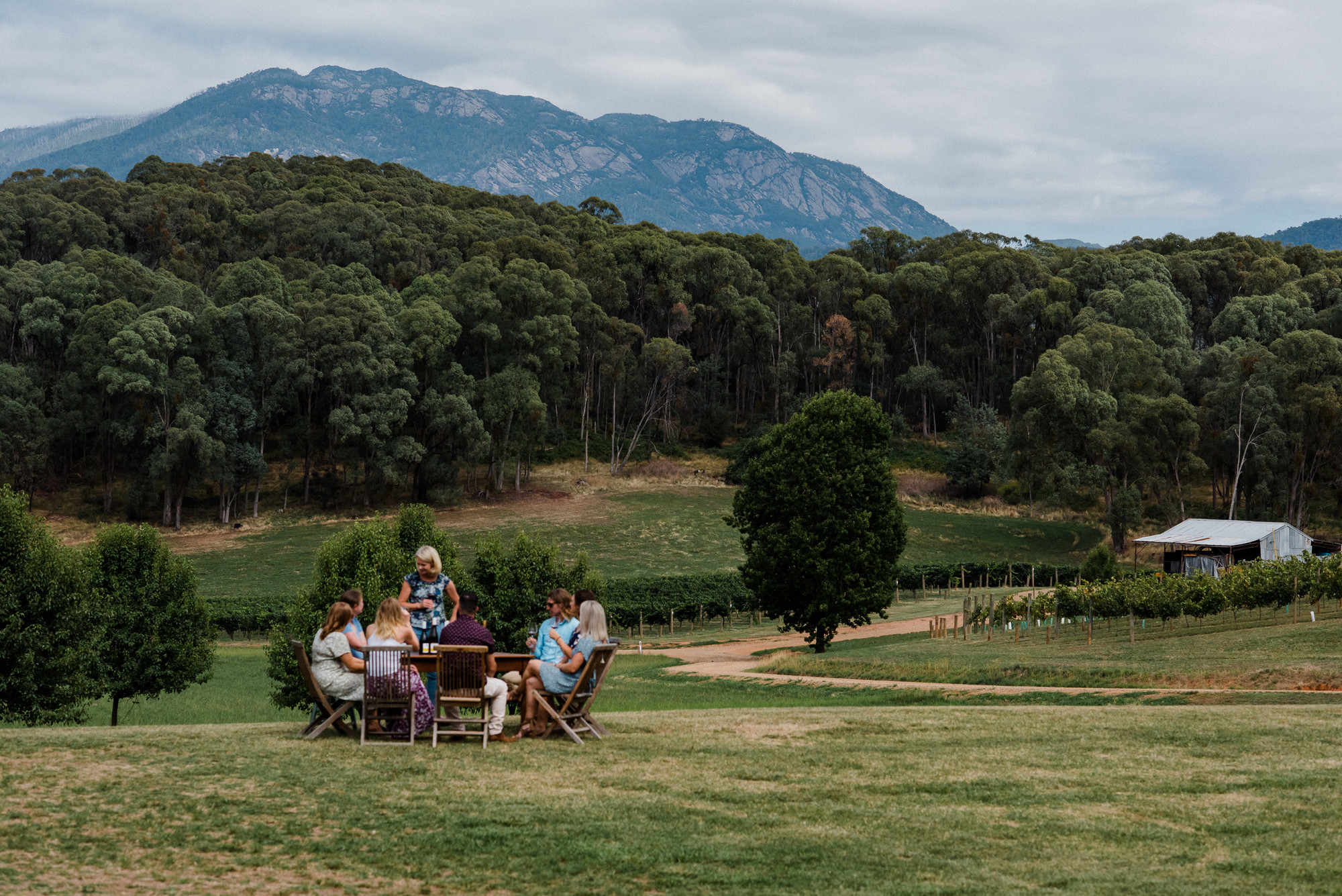 Four Wine Experiences to Try in Victoria’s High Country