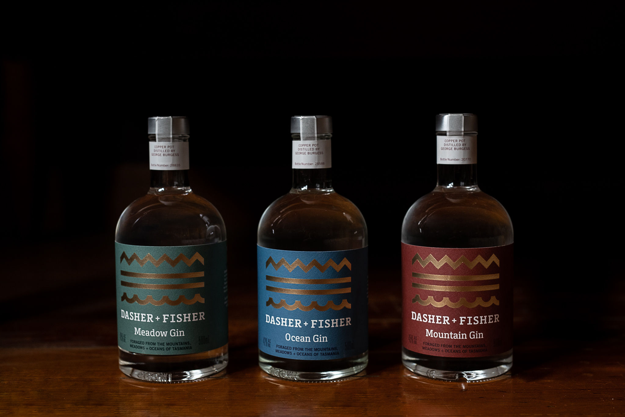 Southern Wild Distillery on Its Dasher + Fisher Gin – and Cocktail to ...
