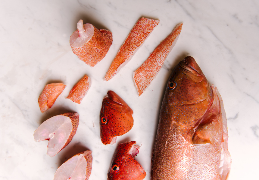 Chef Josh Niland’s Eight Easy Tips for Storing Fish