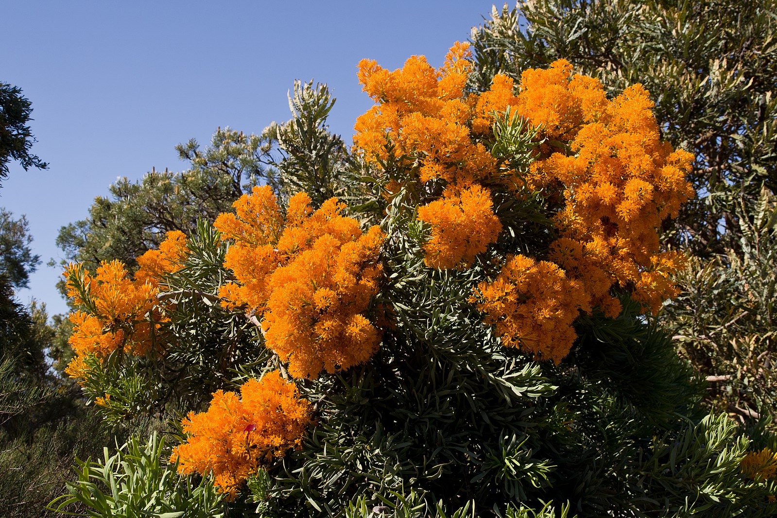 “Just Because It’s There Doesn’t Mean You Have the Right To Use It ...