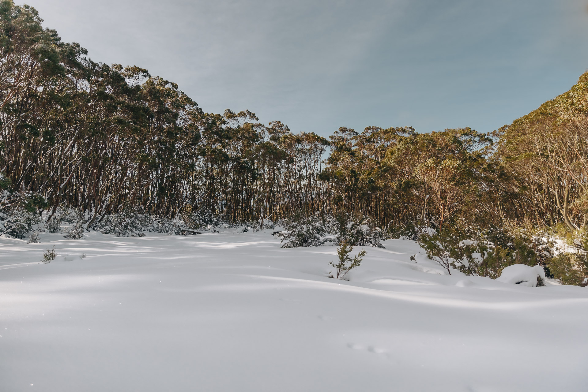 Jake Roden Does Not Like To Take the “Easy” Photo