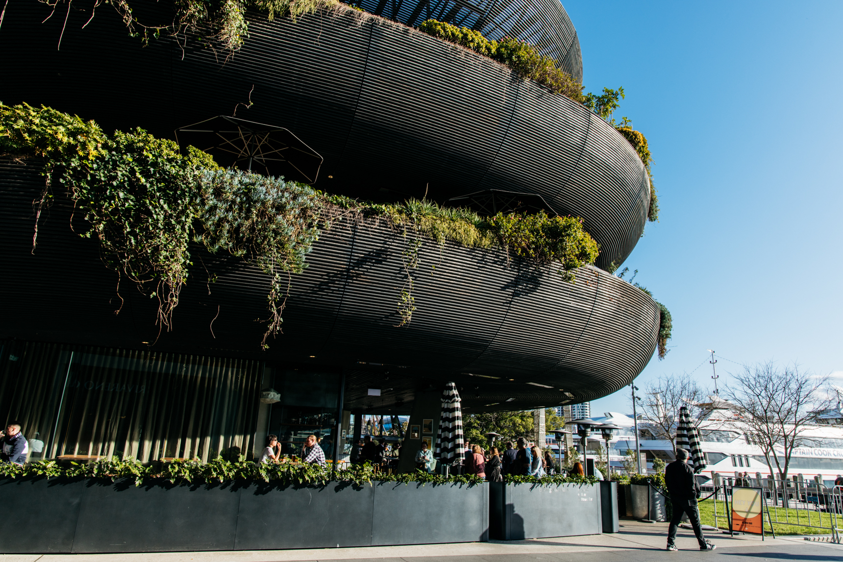 First Look: Rekodo, Matt Moran’s Good-Looking New Japanese-Inspired ...