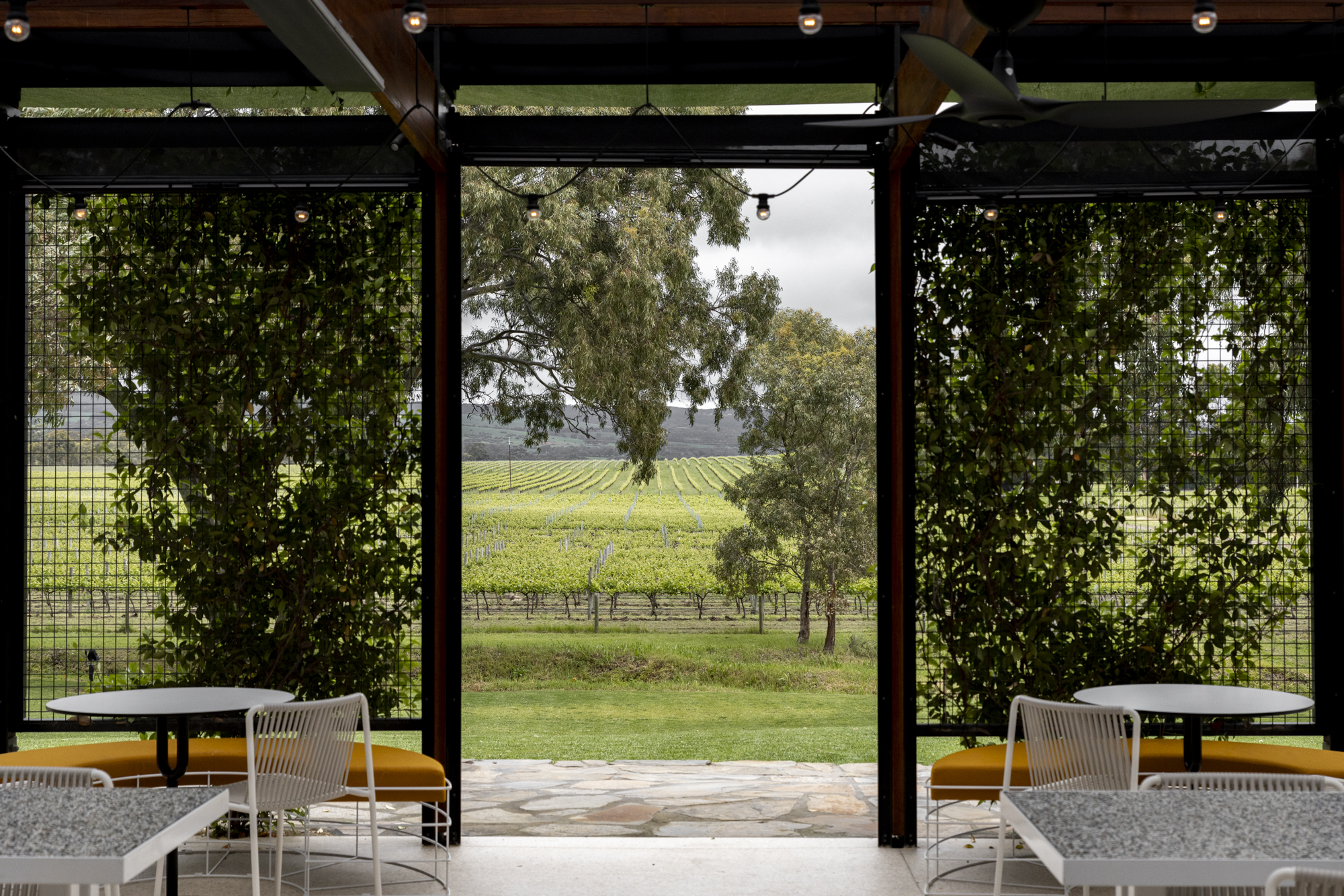 First Look: Meet Frankie, Mitolo Wines’ New Italian Disco Diner, With a ...