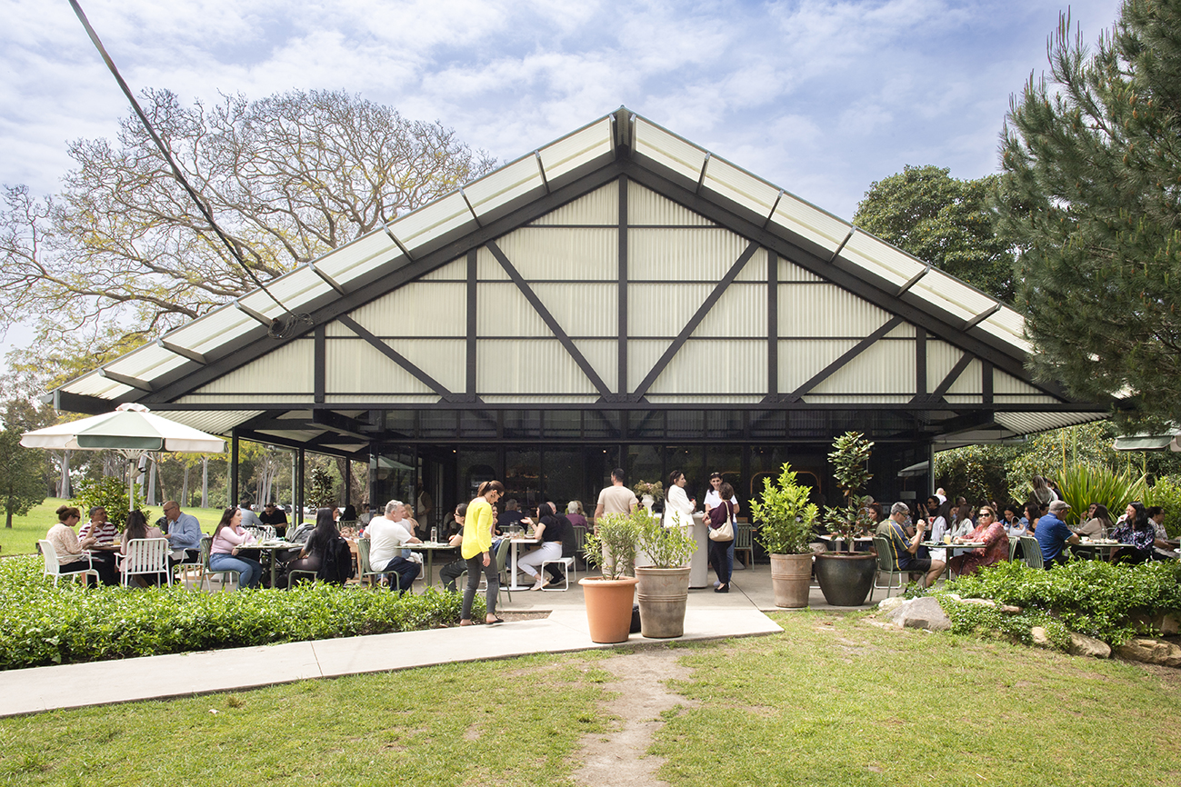 Dine on Med-Inspired Share Plates at Beautiful New All-Day Diner Misc ...