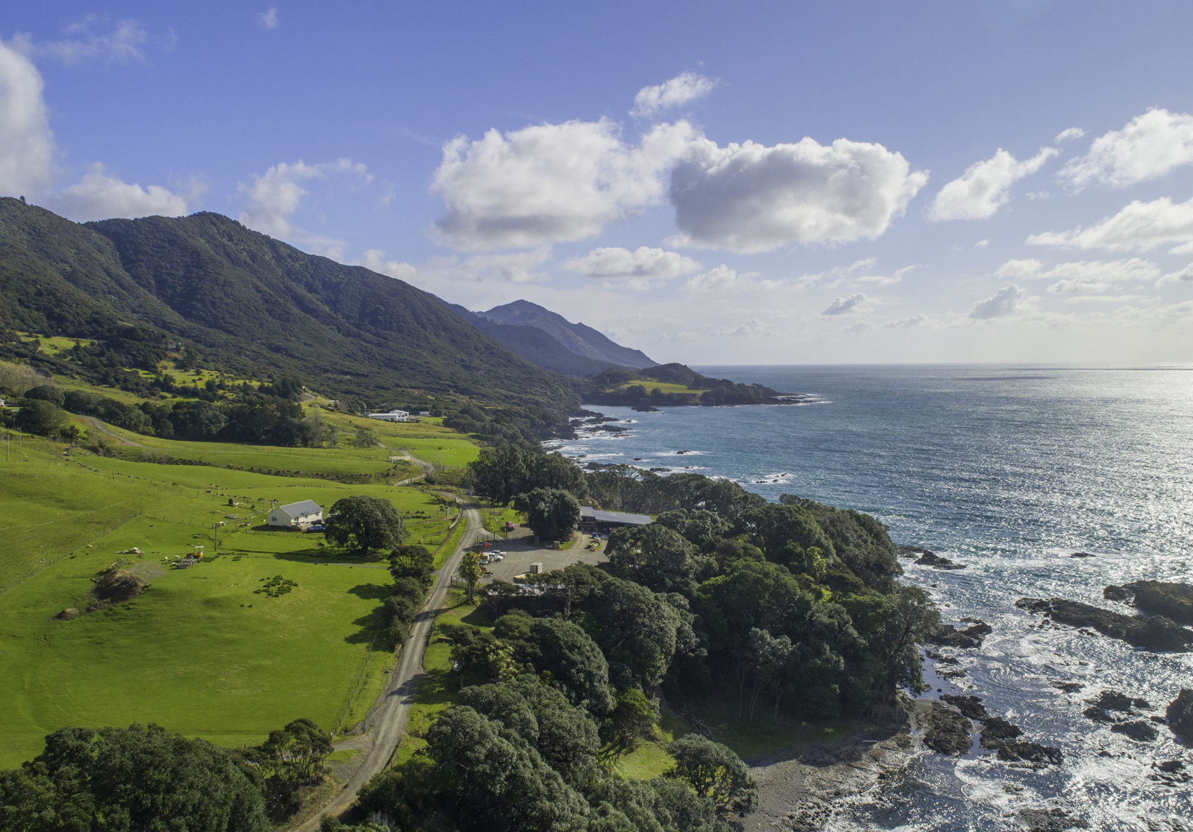 From Gisborne to Te Kaha: A Guide to Road Tripping Along New Zealand’s ...