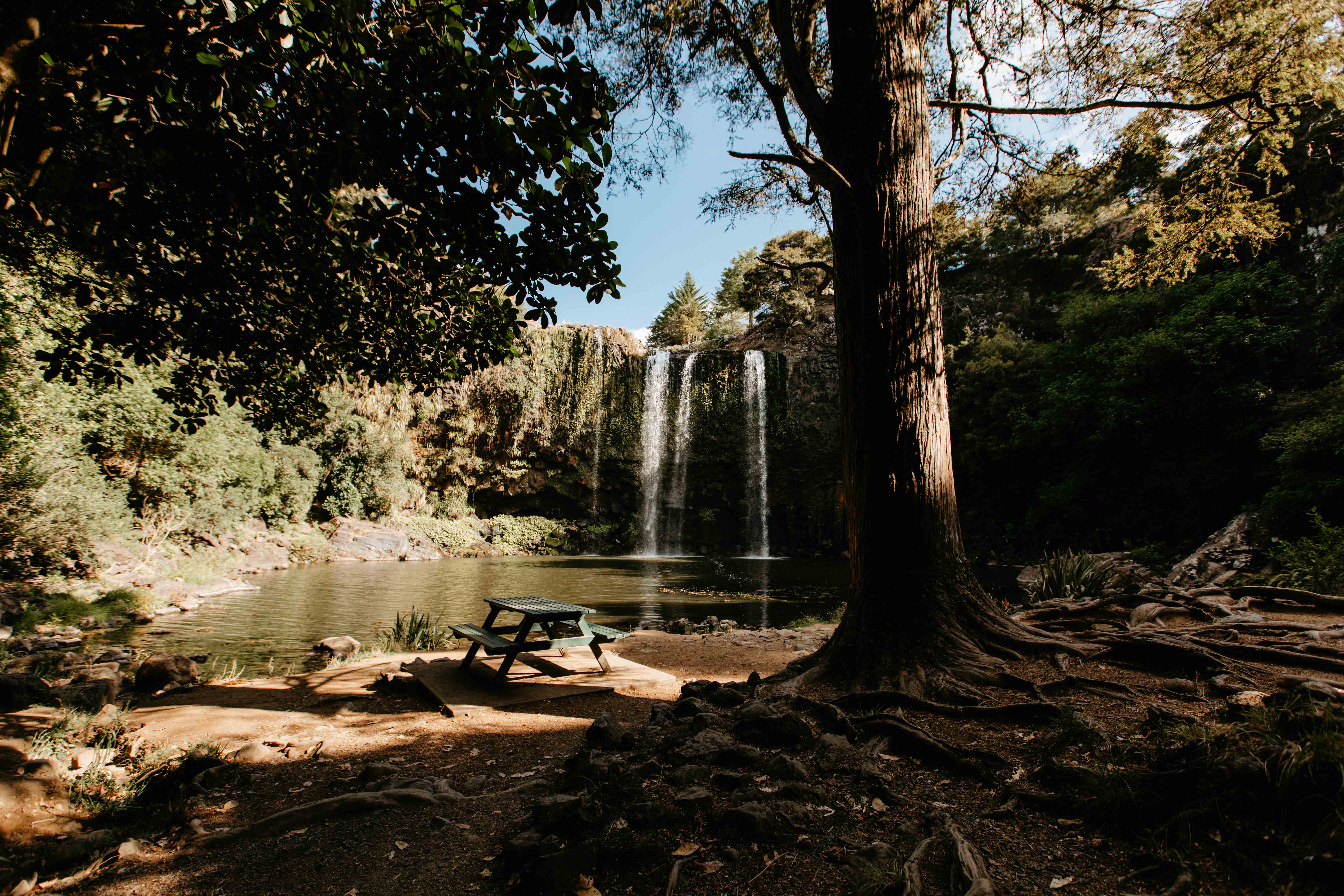 A Guide to the Top of New Zealand’s North Island