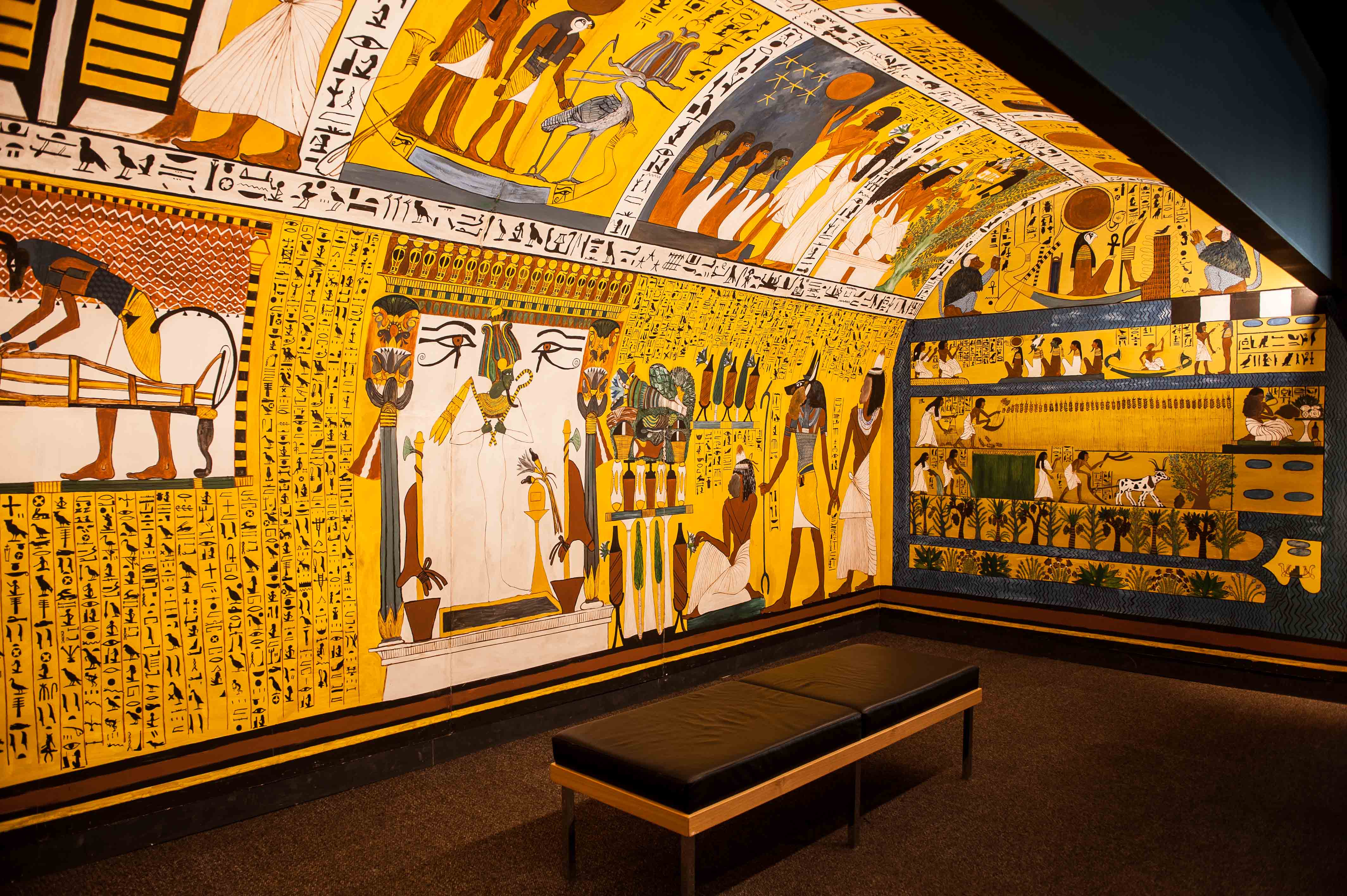 Coming Soon: Auckland Museum Will Exhibit Aotearoa's Largest-Ever ...