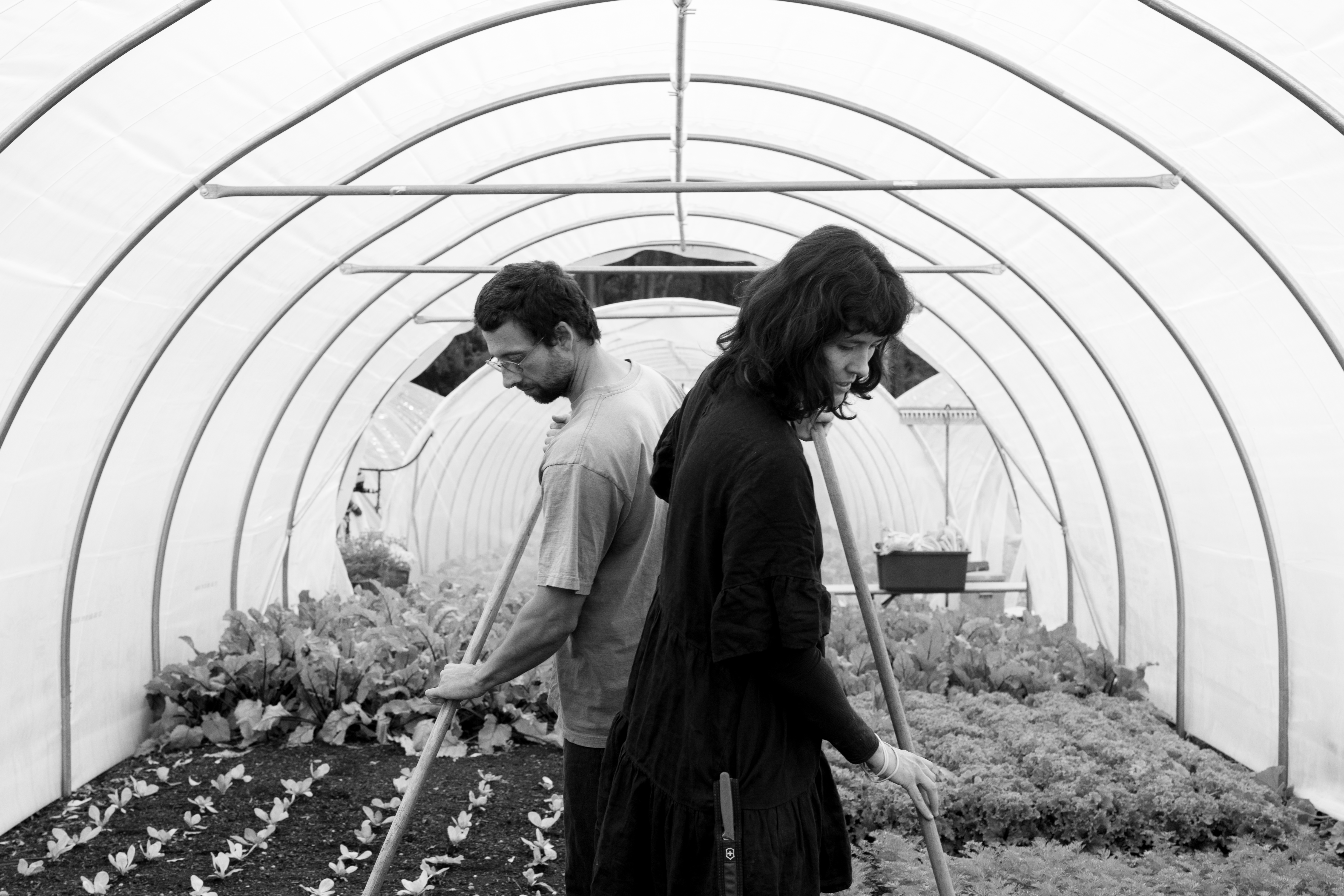 The Young Couple Building a Community Through Organic Gardening