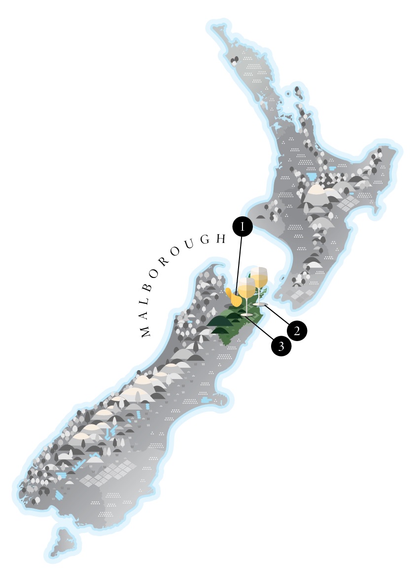 Map Of Agricultural Crops Of New Zealand A Bioavailable Strontium
