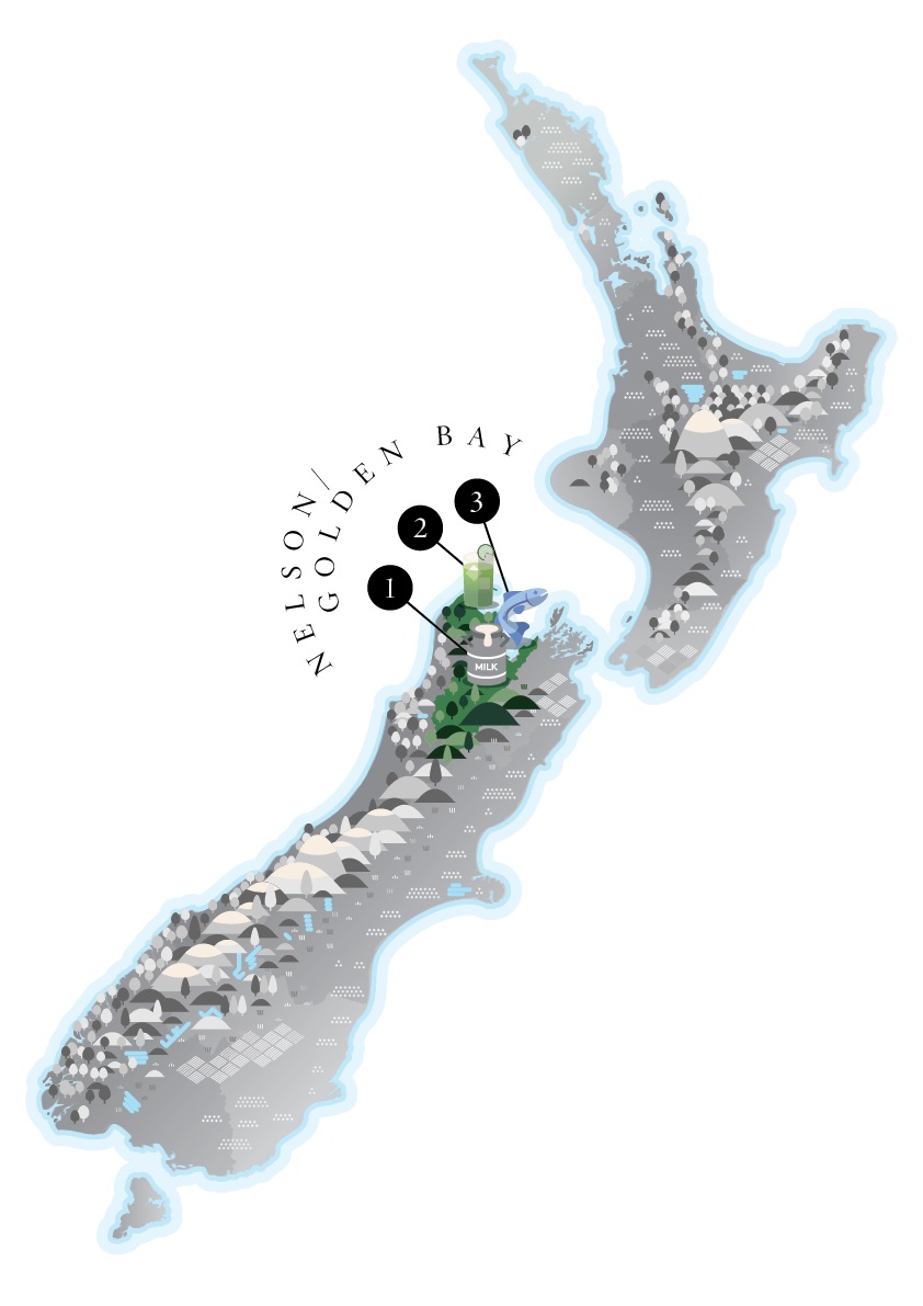 New Zealand Mountains Map Whakapapa Ski Field Ski Map – James