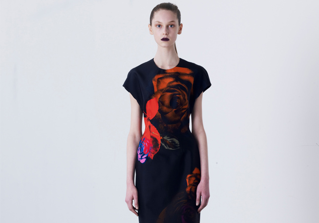 The Goot Studio Sale