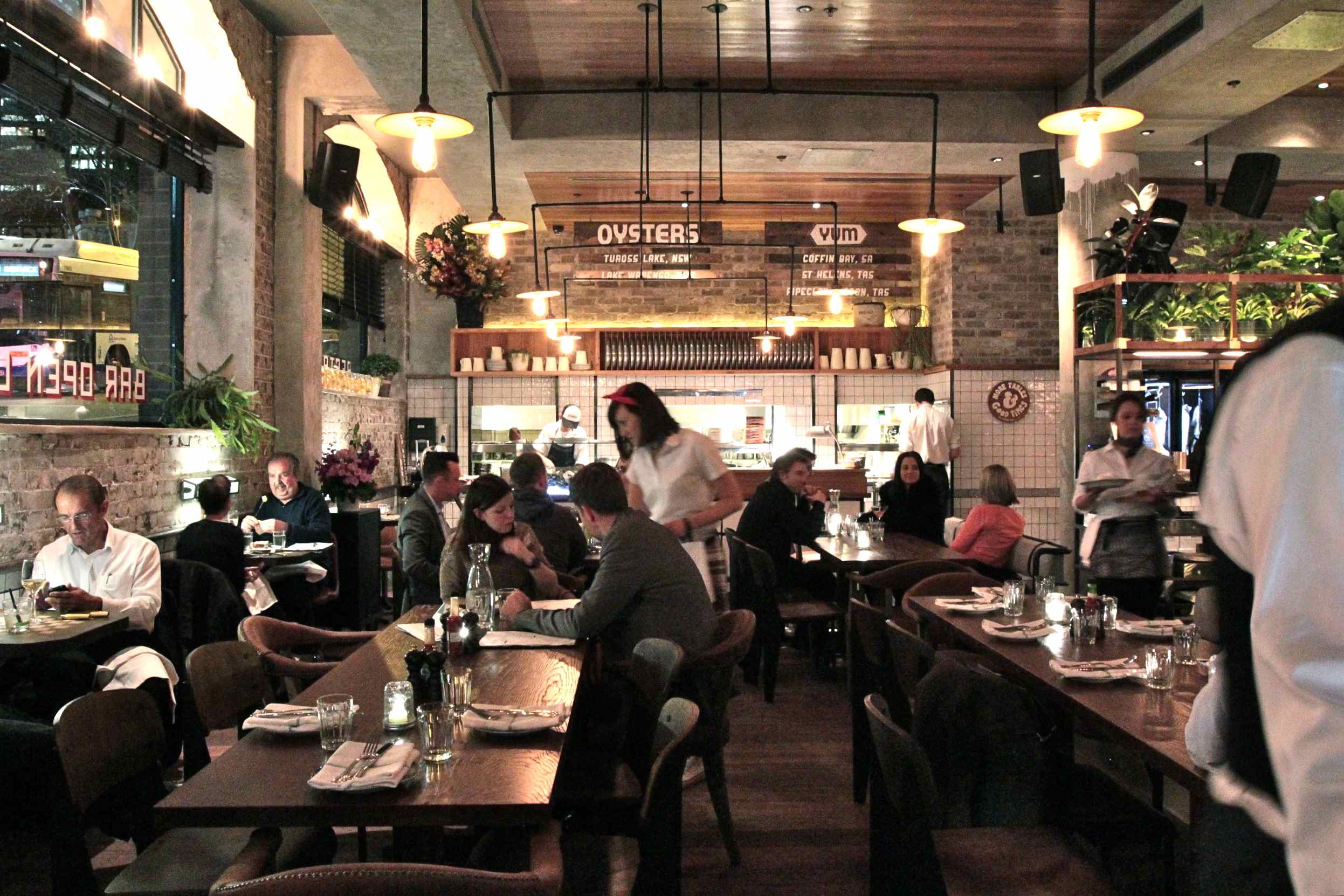 Shucked to Order at The Morrison Bar and Oyster Room