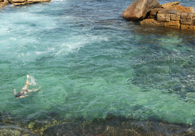 Springtime in Sydney