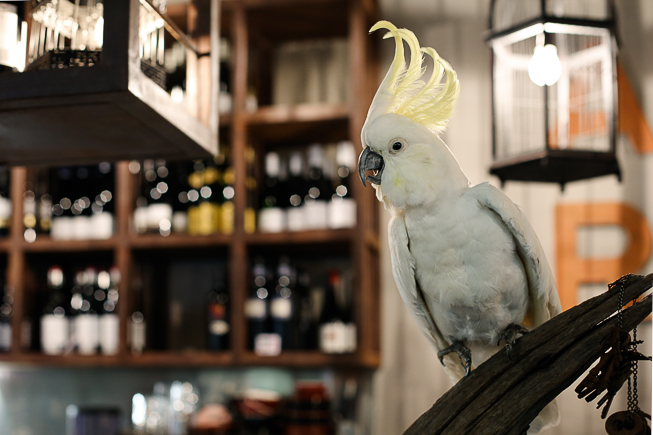 Tapas and Wine at 2 Stews and a Cockatoo