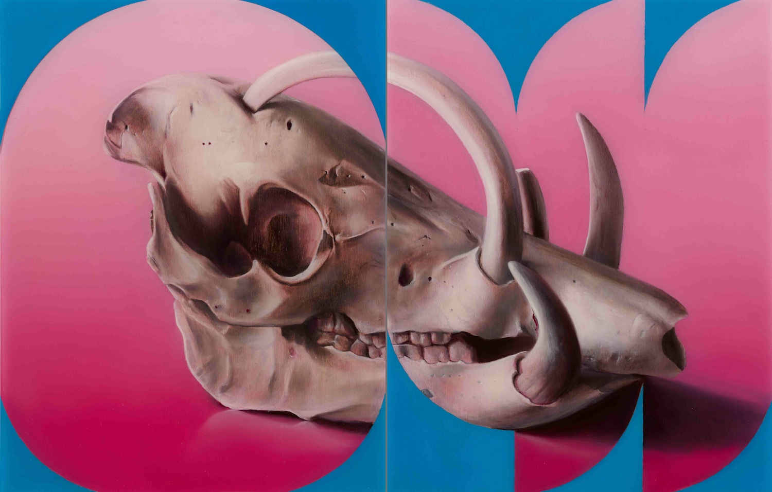 Sam Leach’s Abstract Past