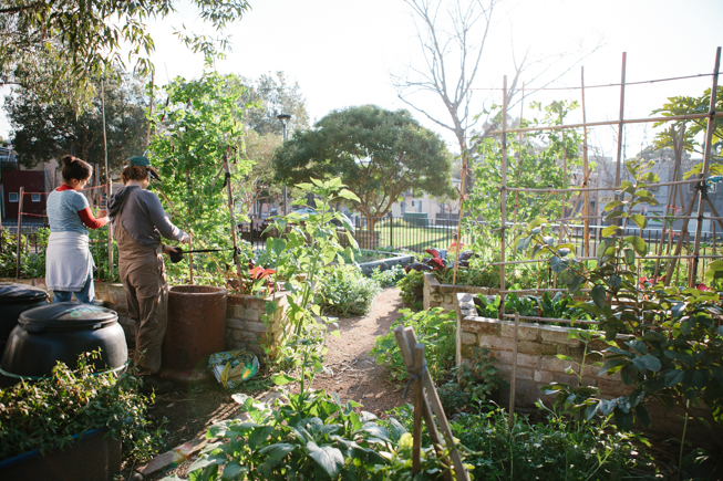A Garden Patch for All