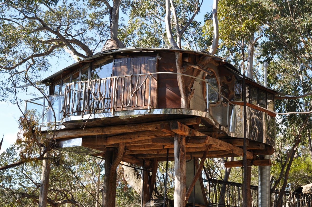 Out of Town to The Treehouse