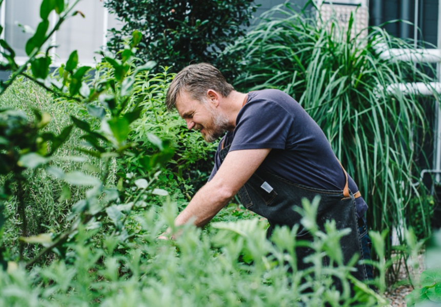 A Beginners Guide to Growing at Home